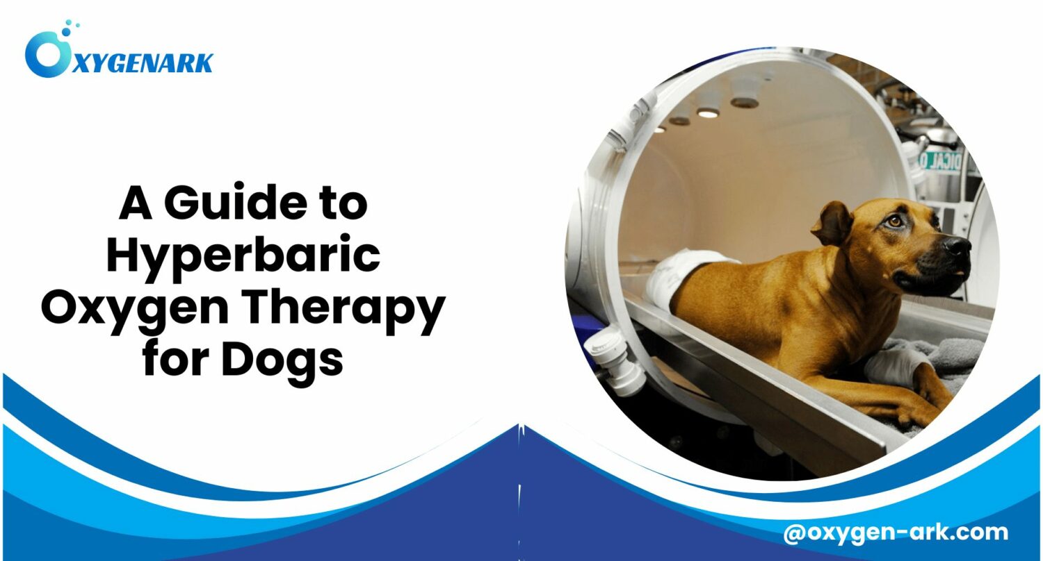 Hyperbaric Chamber Manufacturer - OxygenArk